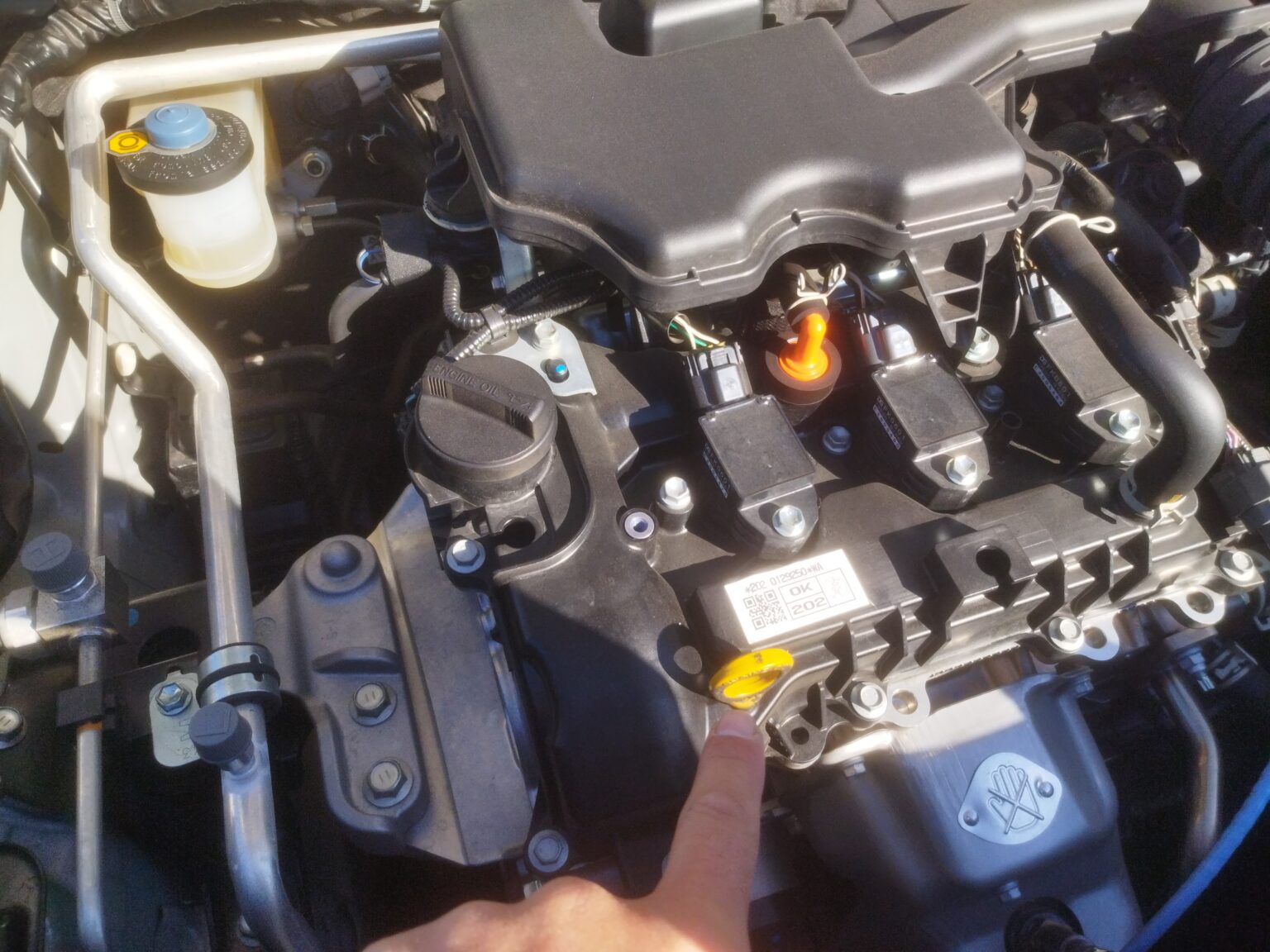 初心者でも安心！ライズA201Aのエンジンオイル交換DIYの基本手法を車屋プロが解説：自宅でできる簡単な修理方法！ | 自動車の事ならスピードスターへ！